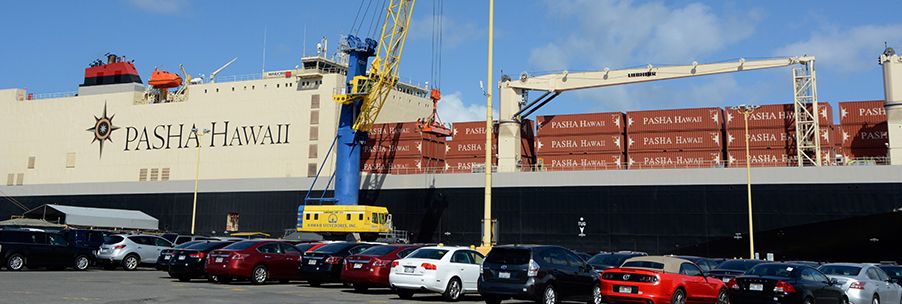 History | Pasha Group